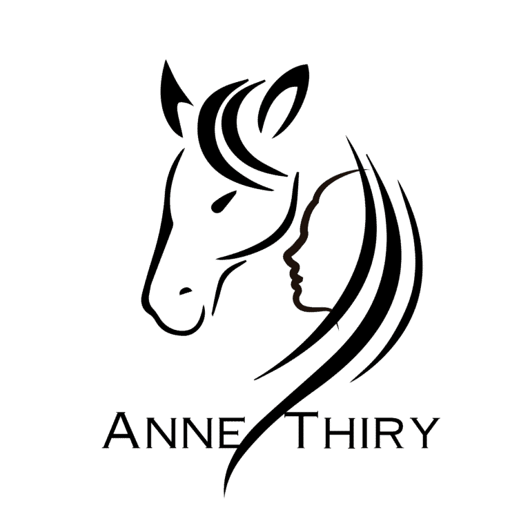 Stage équestre Waterloo | Formation Avec Anne Thiry